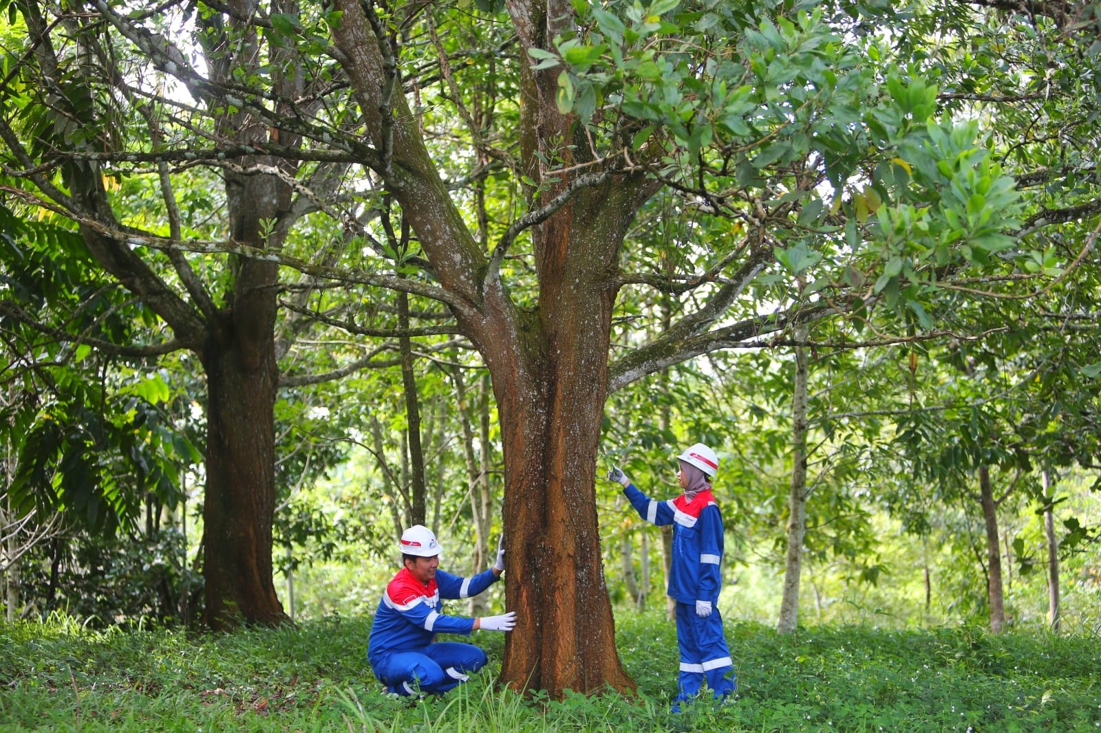 Skor ESG PGN Melesat ke 20,2, Komitmen Kuat Menuju Net Zero Emission ...